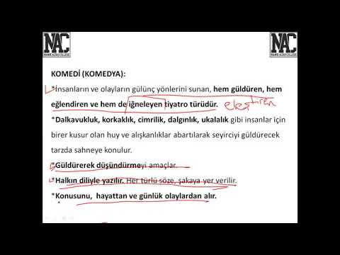 10  SINIF   TÜRK DİLİ VE EDEBİYATI  Modern  Tiyatro Türleri