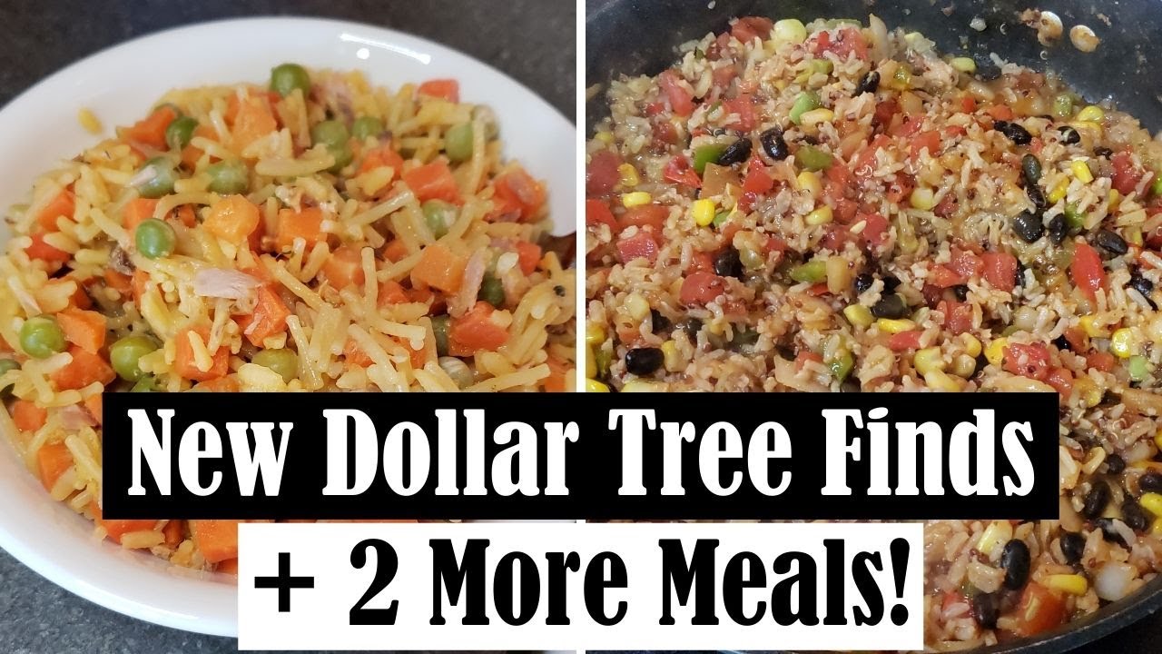 NEW DOLLAR TREE FINDS! || PLUS TWO FRUGAL DOLLAR TREE DINNERS - YouTube
