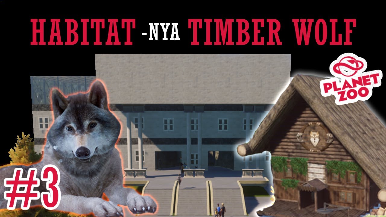 Timber Wolf Habitat Beserta Enclosurenya! | Planet Zoo Indonesia ...