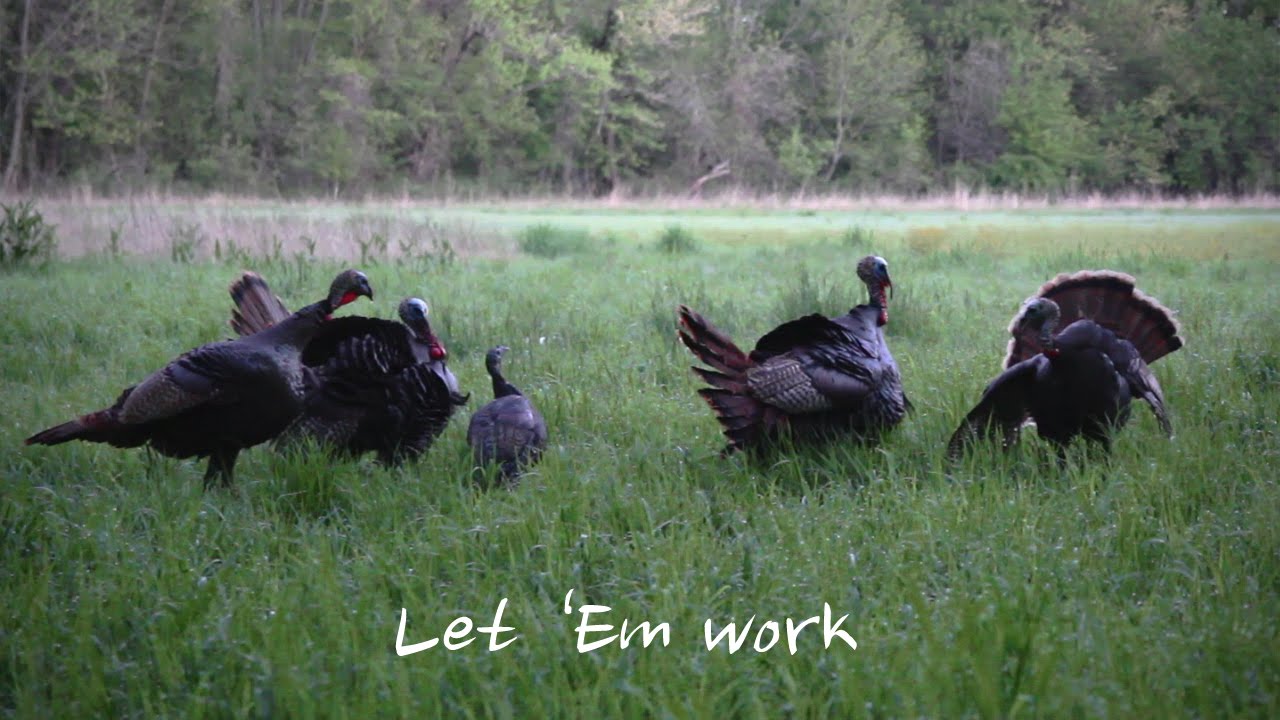 Let 'Em Work - YouTube