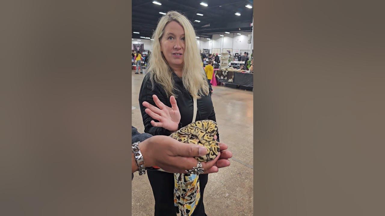 Such a scary python.. OMG, don't touch it.....#python #killersnake ...