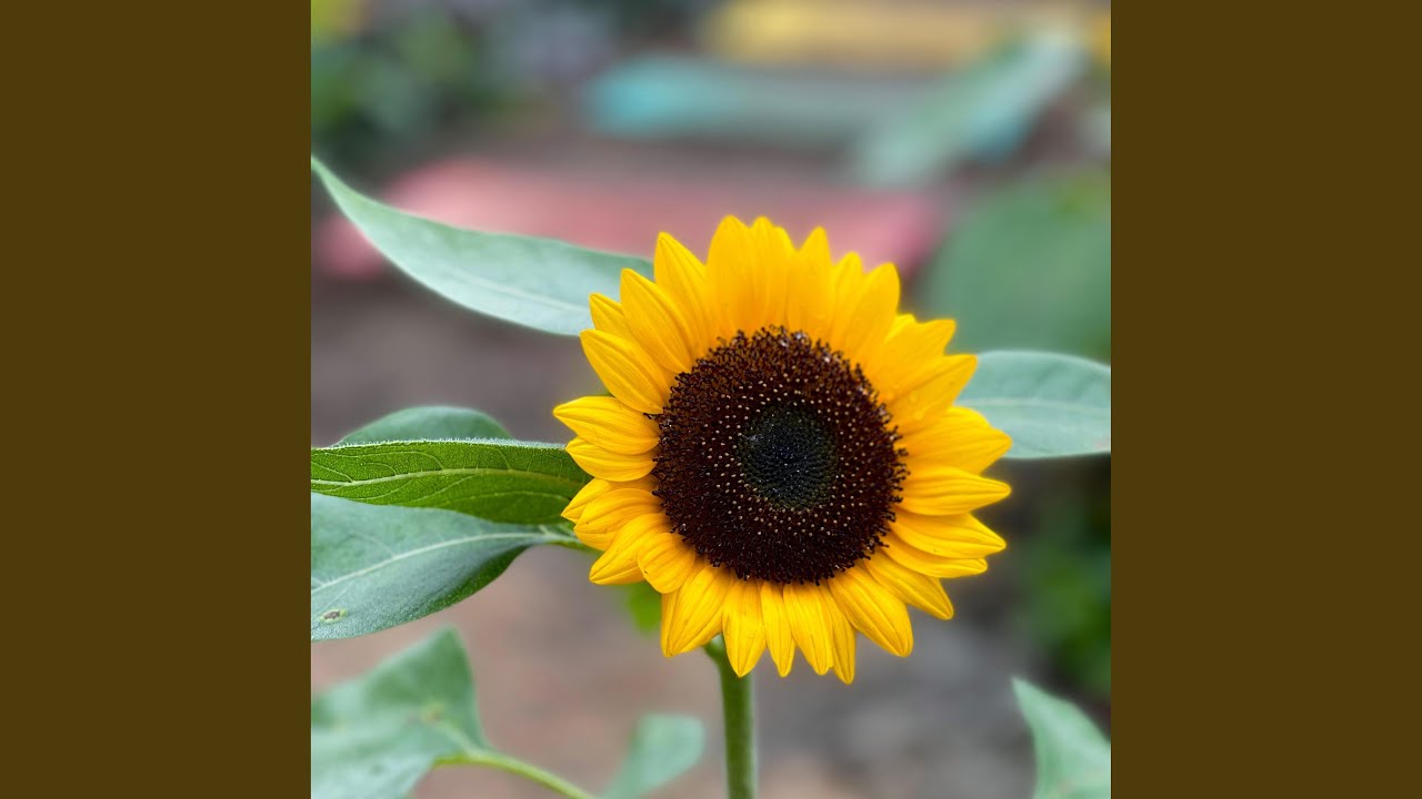 Sandaling Oras - YouTube