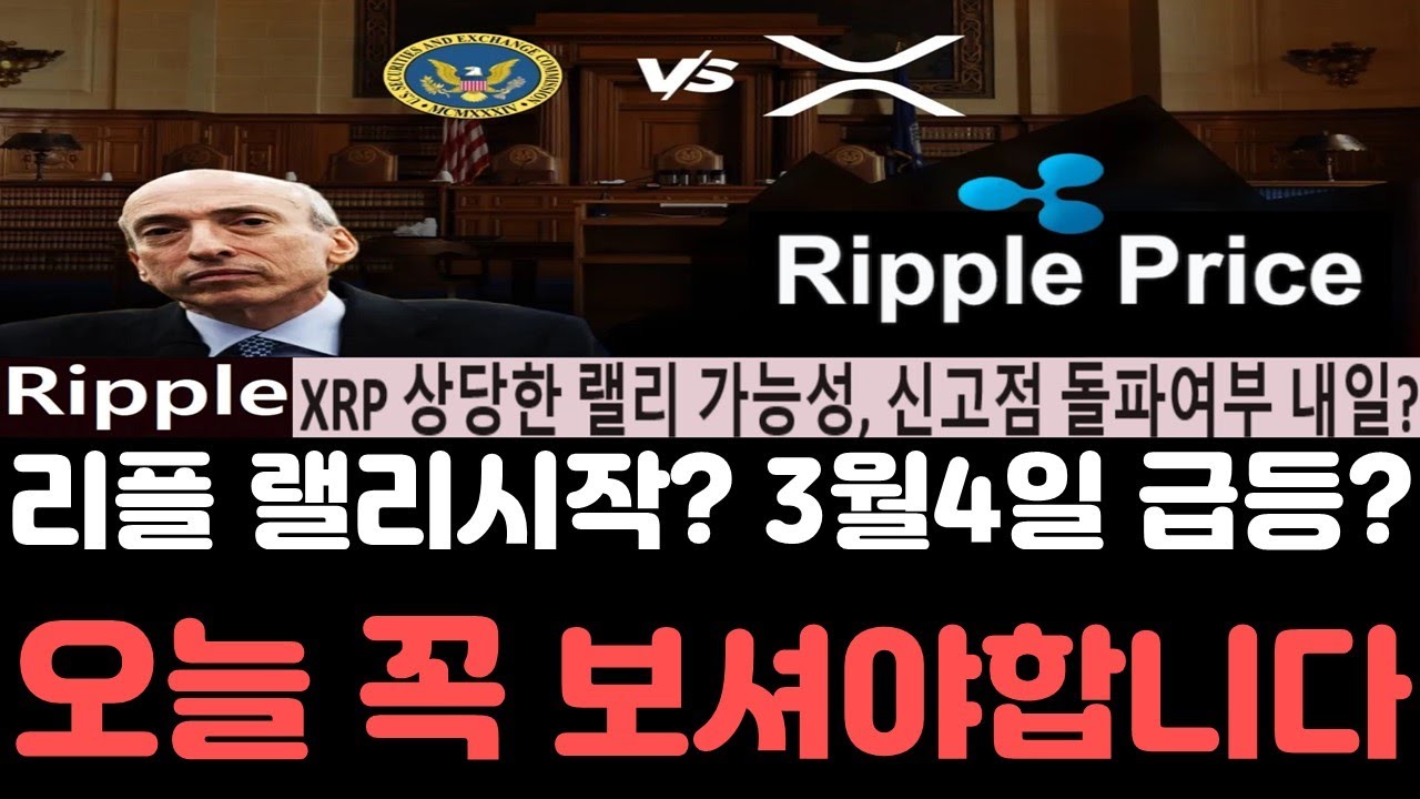 리플전망 리플 Xrp 신고가여부 내일 Sec와의 소송에 새로운 변수가 찾아왔다 오늘 영상은 꼭 보셔야합니다 리플전망 리플호재 리플급등 리플코인 리플소송