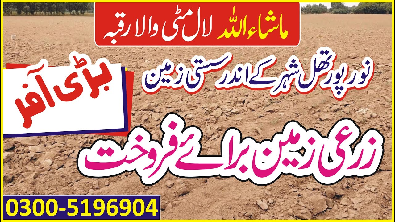 Land For Sale | 11 Acre Agriculture Land in Noor Pur Thal | Farms Land ...