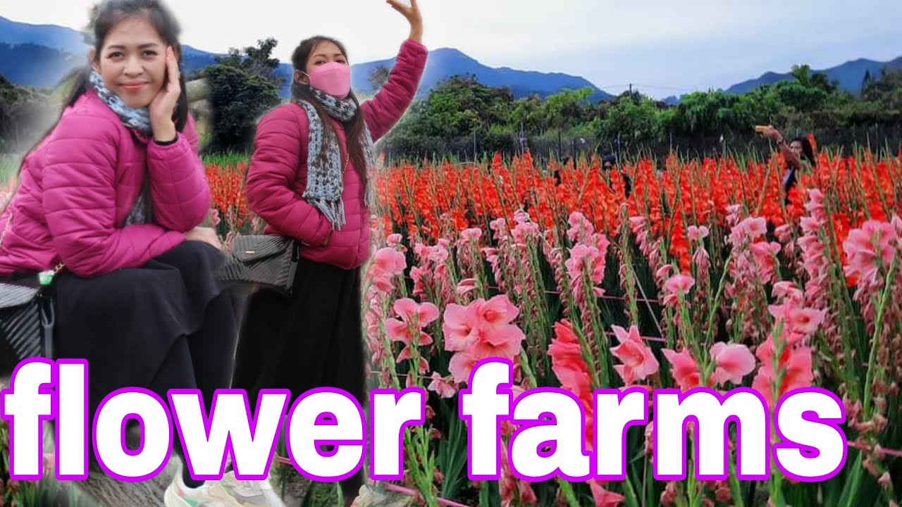 HK FARM// SHUN SUM YUEN FARM - YouTube