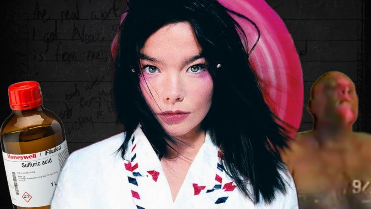 What REALLY Happened to Björk in 1996: The Untold Story of Her Stalker ...