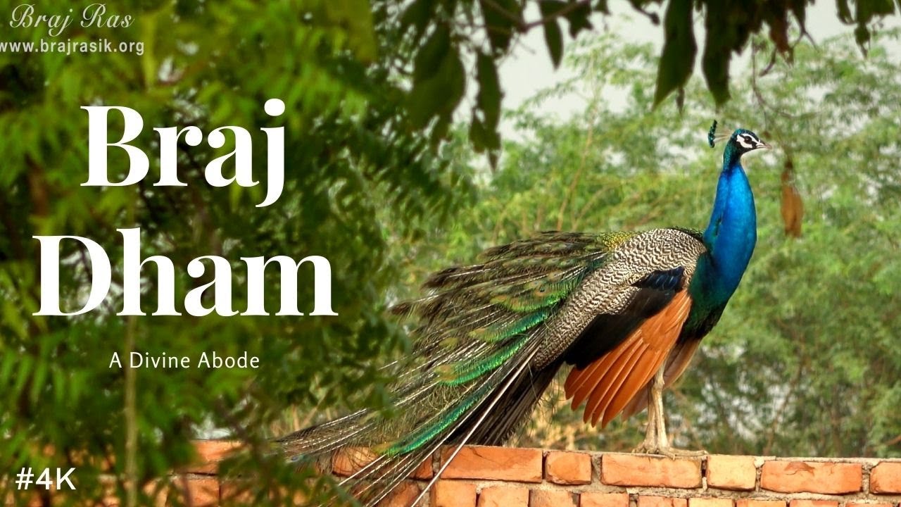 Braj Dham - A Divine Abode | Footage from the Forests - YouTube