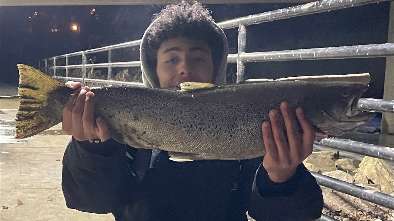 Catch and cook trout (Best Trout Bait)!!! Rootriver Racine Wisconsin ...