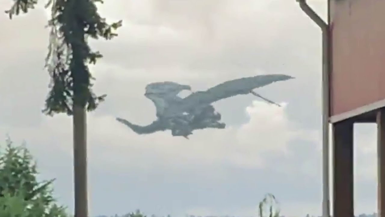 4 headed winged monster sighting - YouTube