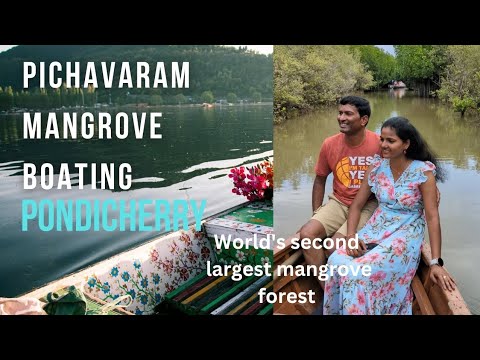 World's second largest Mangrove Forest|| Pichavaram boating ...