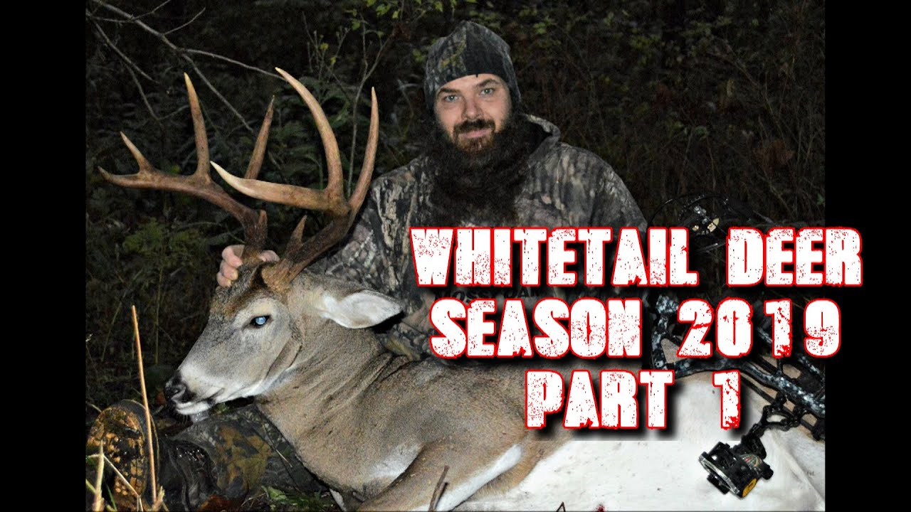 Big 9 Point Buck Dropped With a Bow - YouTube