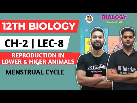 12th Biology | Chapter-2| Reproduction in Lower & Higher Animals | Lec ...