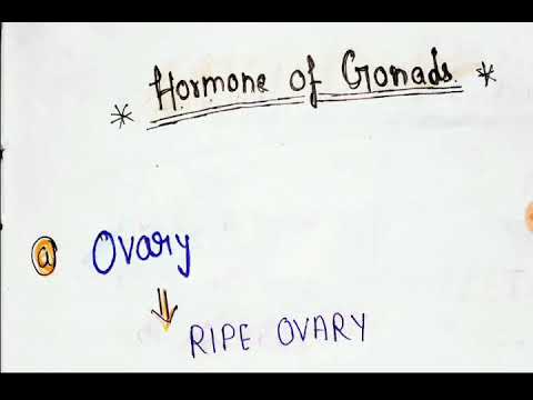Hormones of Gonod || Easy Mnemonic/Trick - YouTube