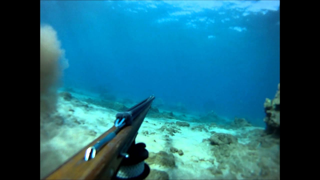 hawaii spearfishing - YouTube