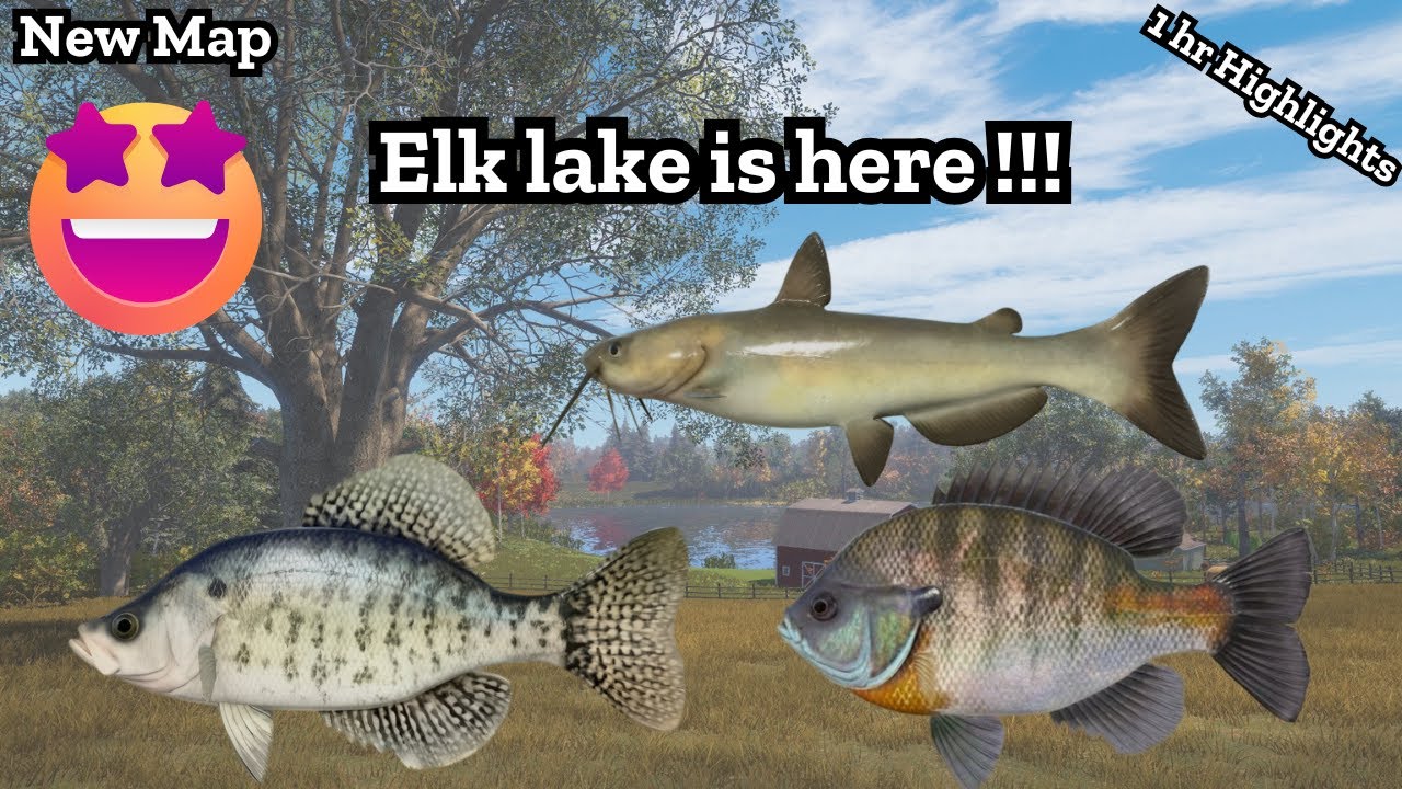 First look | Elk lake | NEW map | 1hr spot hut | Russian fishing 4 ...