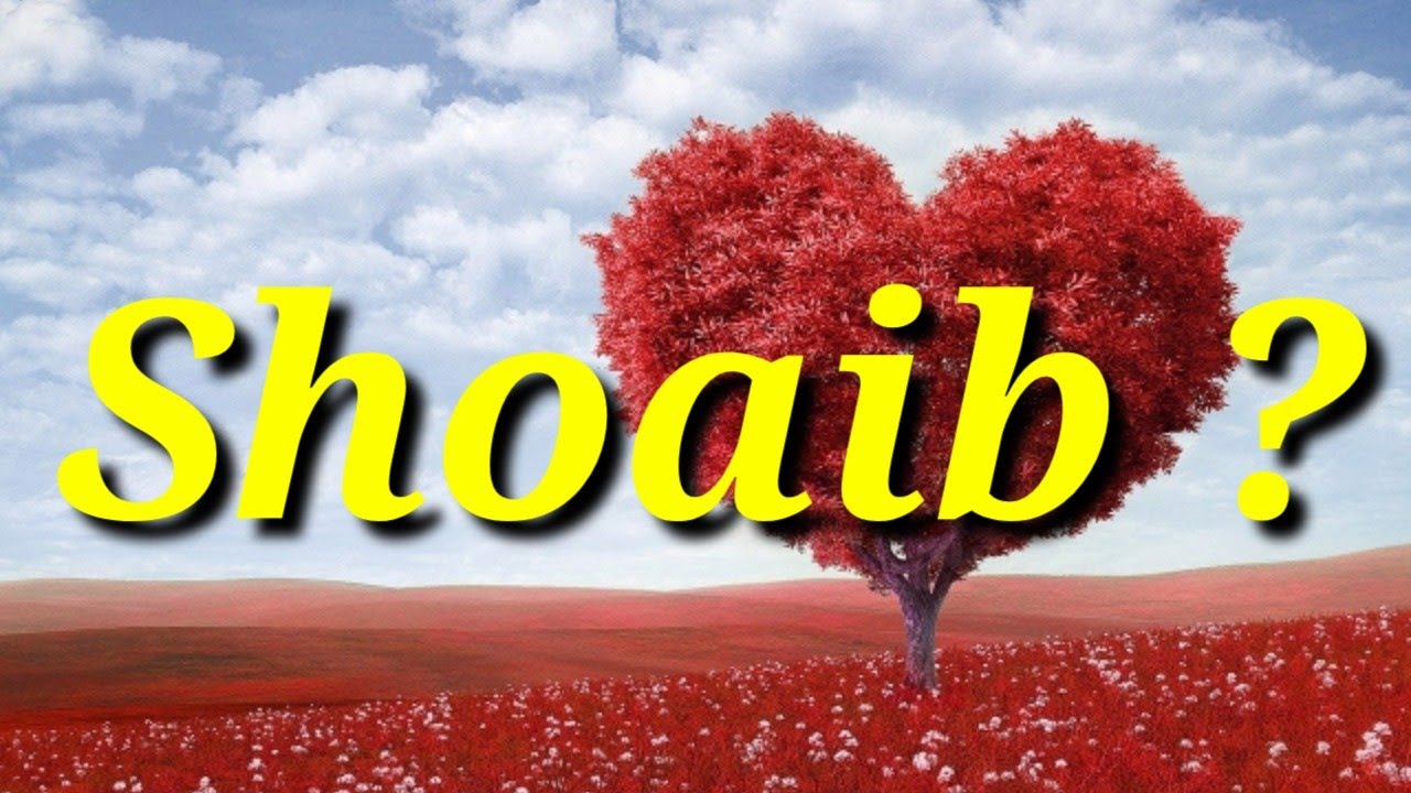 Shoaib Name Meaning | Shoaib Naam Ka WhatsApp Status | Shoaib Name ...