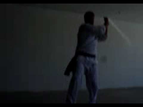 Turtle Style Kung Fu - YouTube