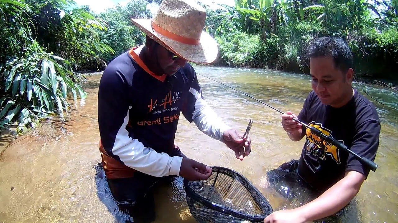Stream Fishing Hunting For Burmese Trout / Sikang / Malayan Trout - YouTube