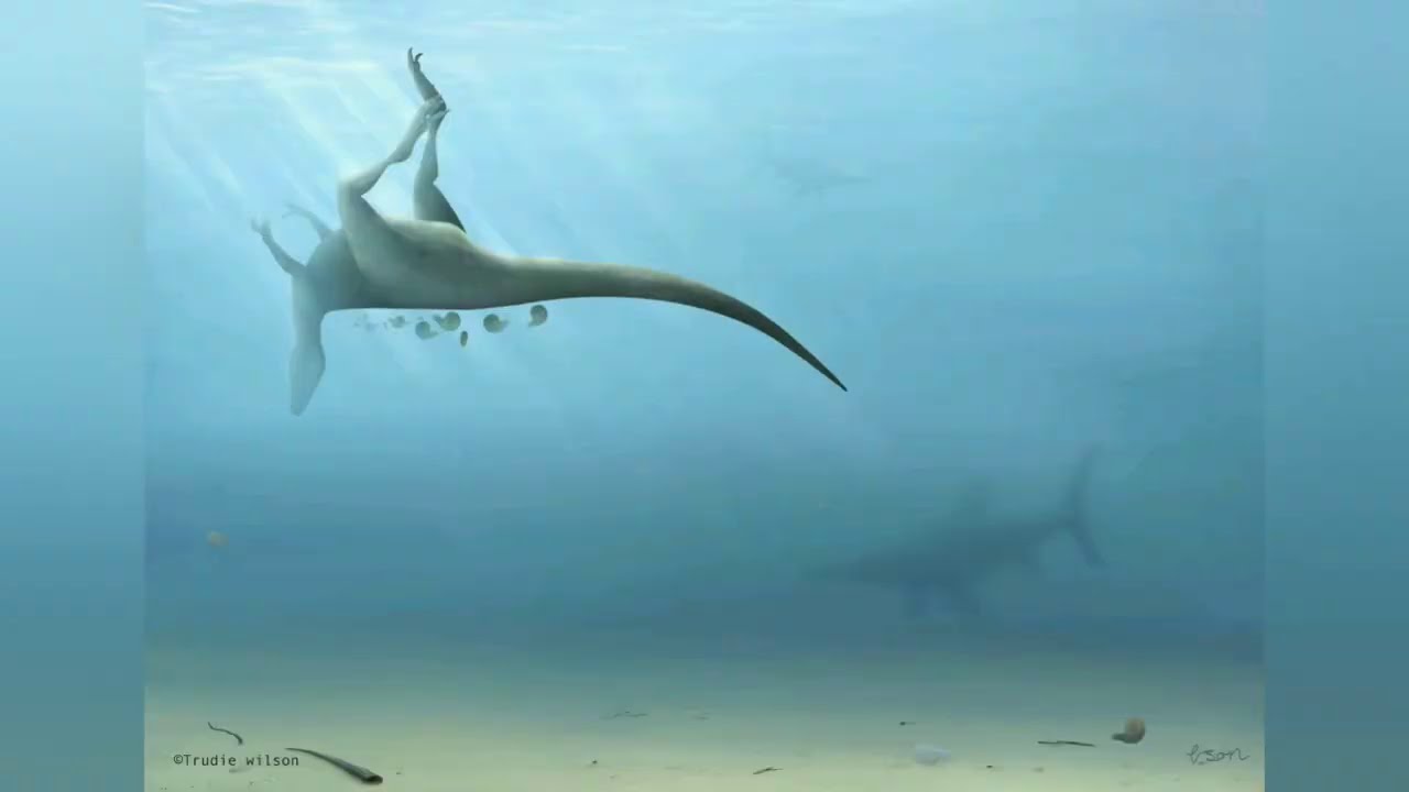 AMV Vectaerovenator Inopinatus + Explicación - YouTube