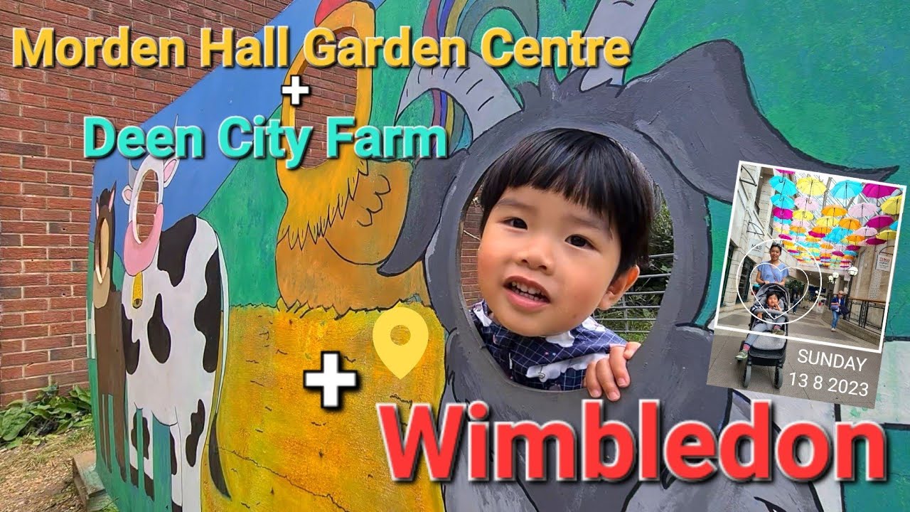 【去農莊 + 溫布頓】小朋友最愛 摸兔兔 喂羊羊 睇牛牛 | Morden Hall Garden Centre | Deen City ...