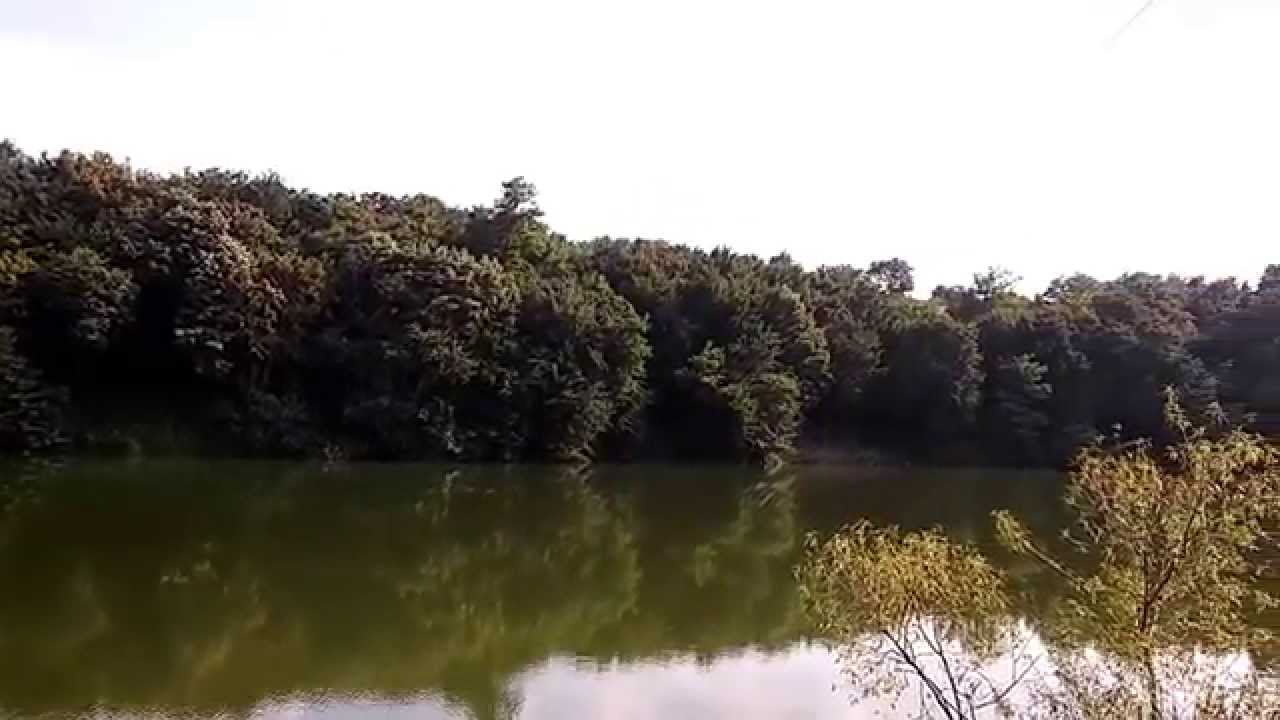 Kreketanje žaba na resničkom jezeru Pariguz - YouTube