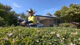 All Seasons Garden Management