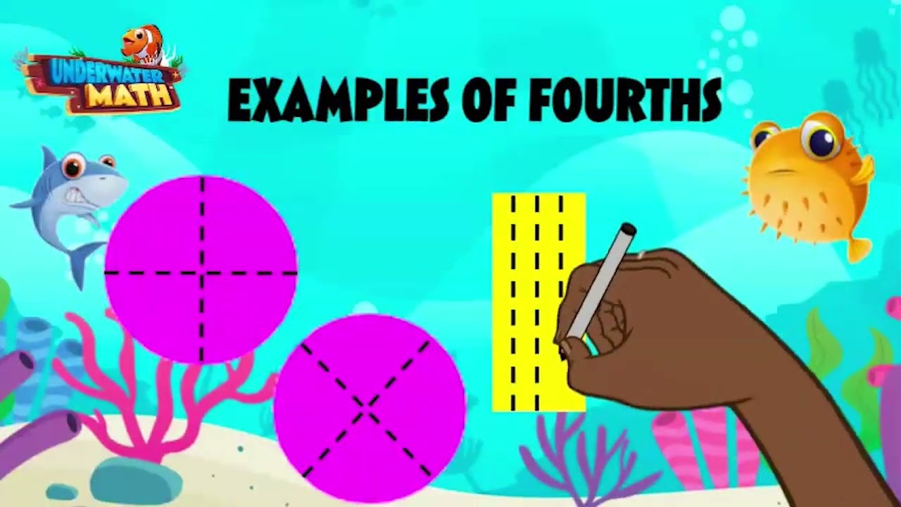 Fraction Halves, Fourths, and Eighths - 2nd Grade - YouTube