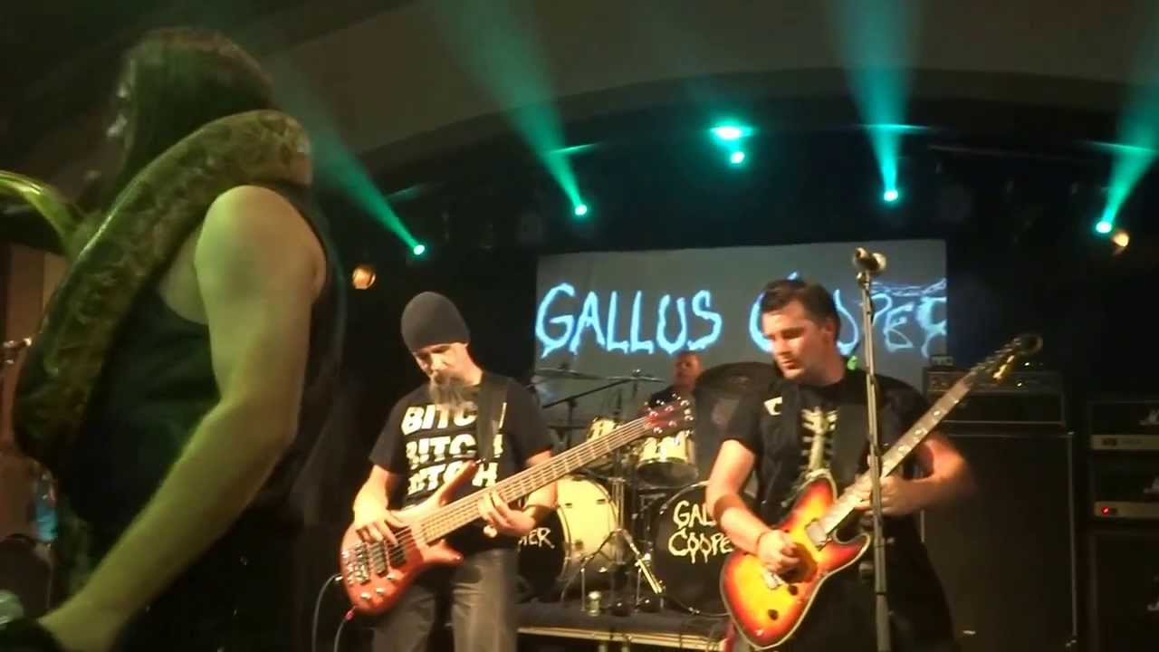 Gallus Cooper-Band --- No More Mr Nice Guy - YouTube