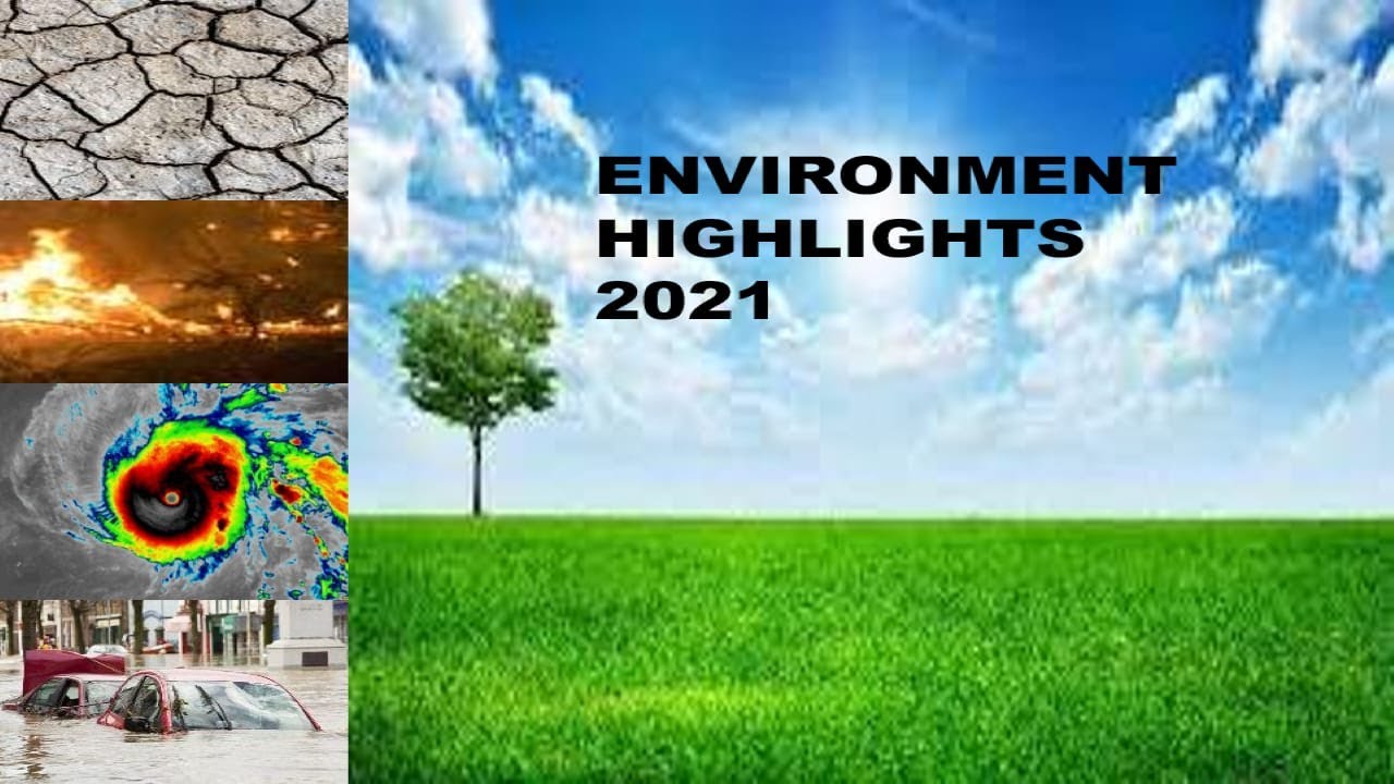 Environment Highlights 2021 | The Environment Express - YouTube
