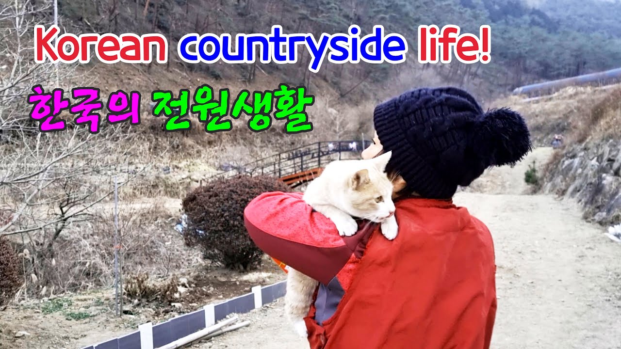 한국의 전원생활 Korean countryside life! 보기만 해도 녹아드는 산골의 영상 - YouTube