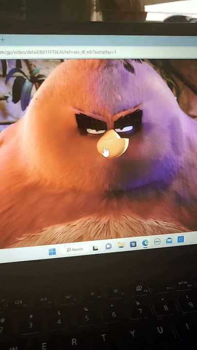 Terrence The Biggest Bird Youtube