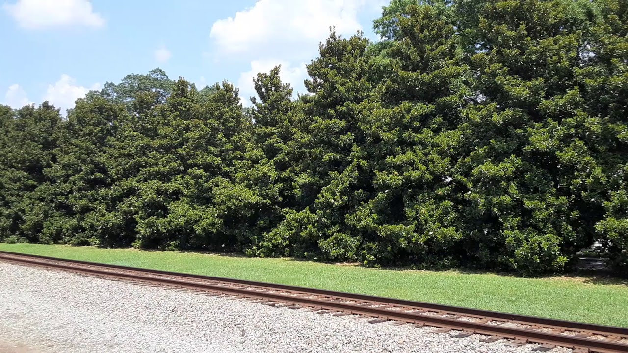 NS 237 with NS 4207 AC44C6M and NS 3628 ET44AC - YouTube