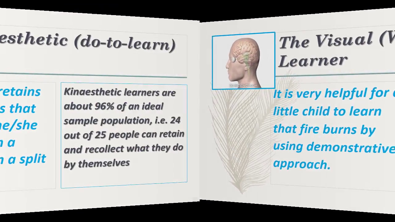 THE 3 LEARNER PERSONALITY TYPES - YouTube