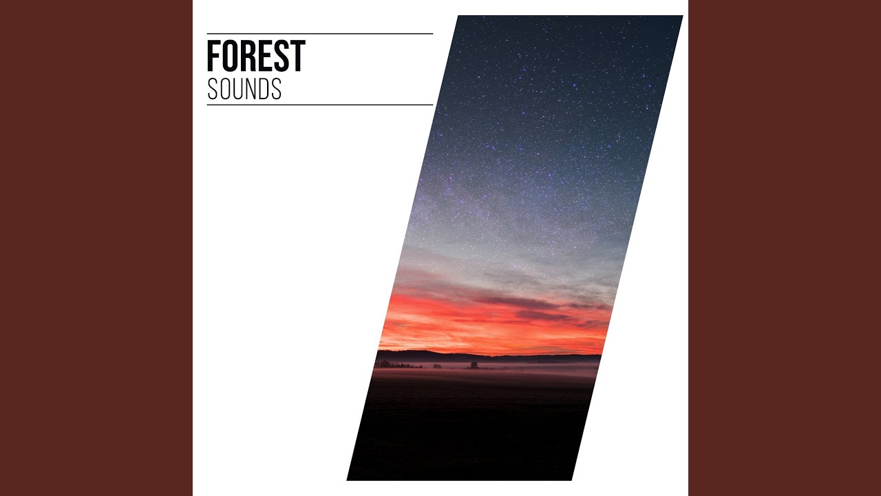 Zen Chords by the Water - YouTube