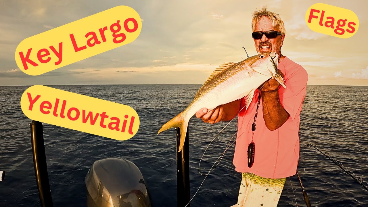 September Snapper: The Best of Yellowtail Fishing in Key Largo - YouTube
