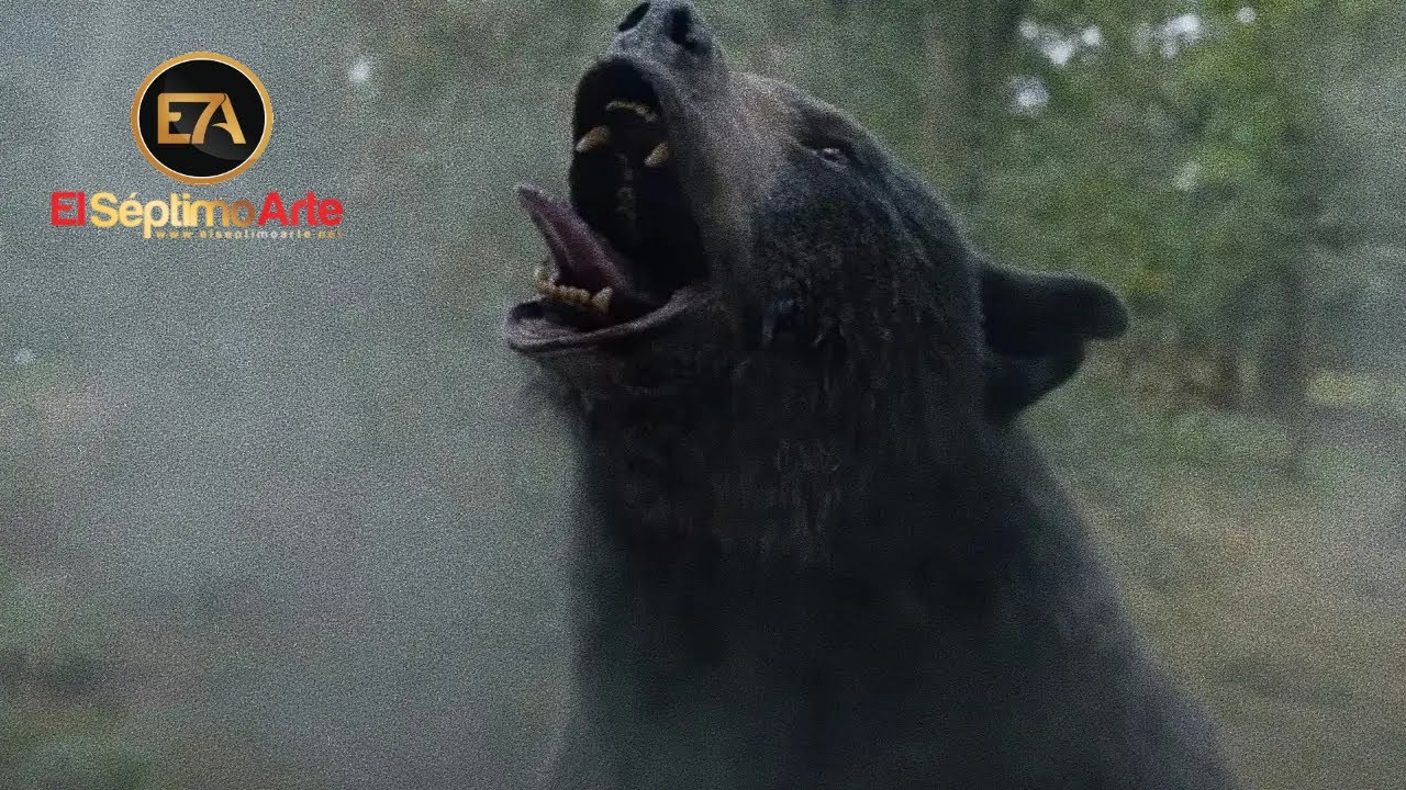 Oso vicioso - Tráiler español (HD) - YouTube