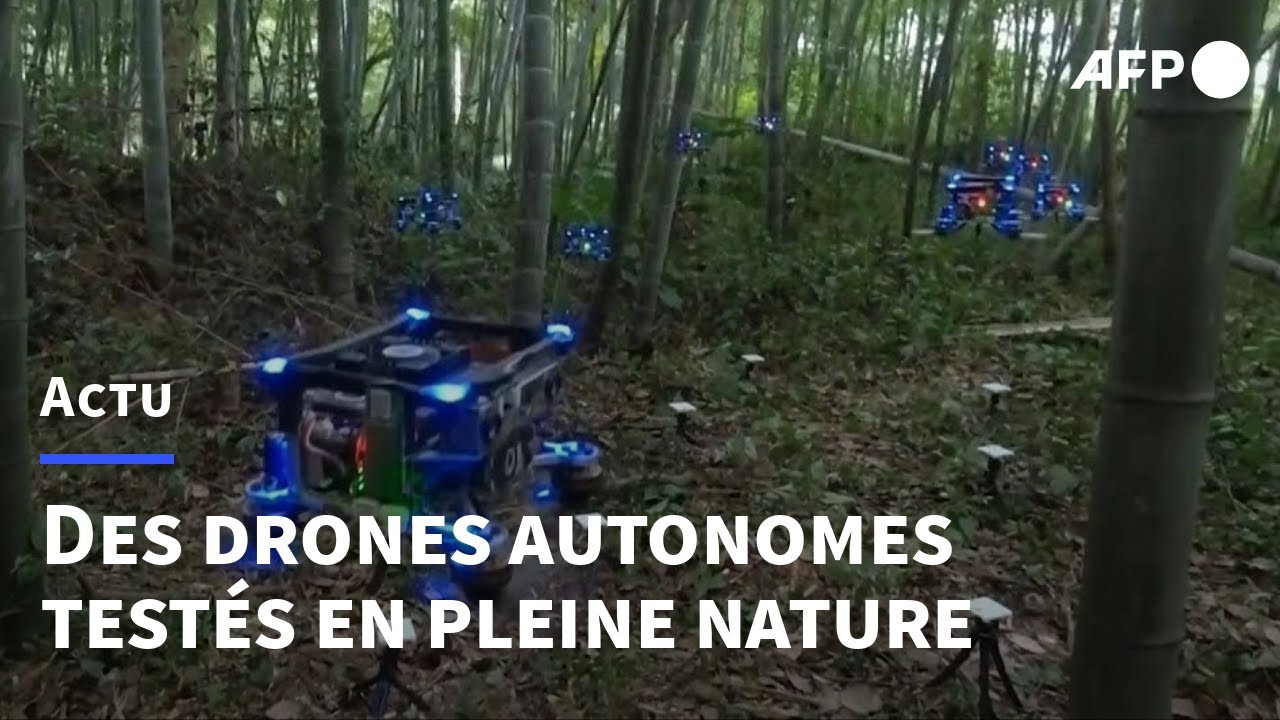 Des essaims de drones autonomes testés avec succès en pleine nature ...