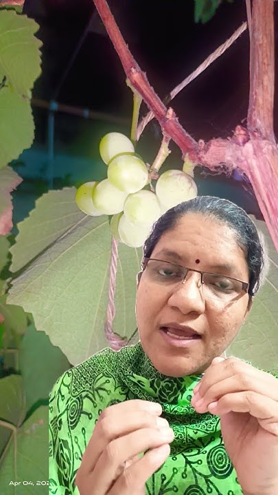 Stacks application, balancing of symbols, Application of stack # ...