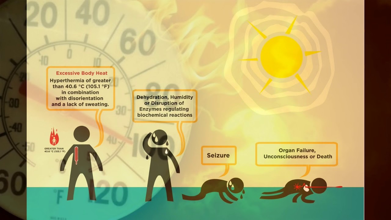 The Dangers of Summer Heat and Humidity - YouTube