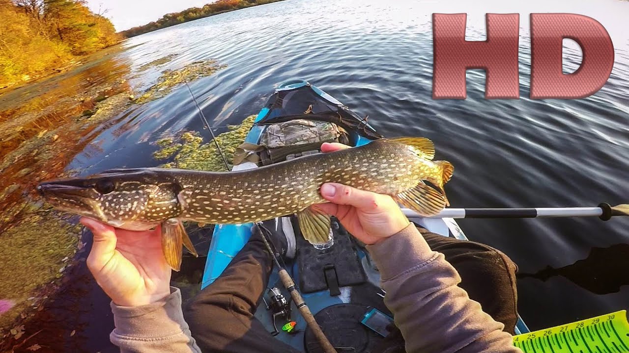 Kayak Pike Fishing - 'Landed' My First Pike! - YouTube