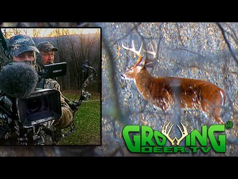 Deer Hunting Excitement: Tagging An Oklahoma Buck! (#316) @GrowingDeer ...