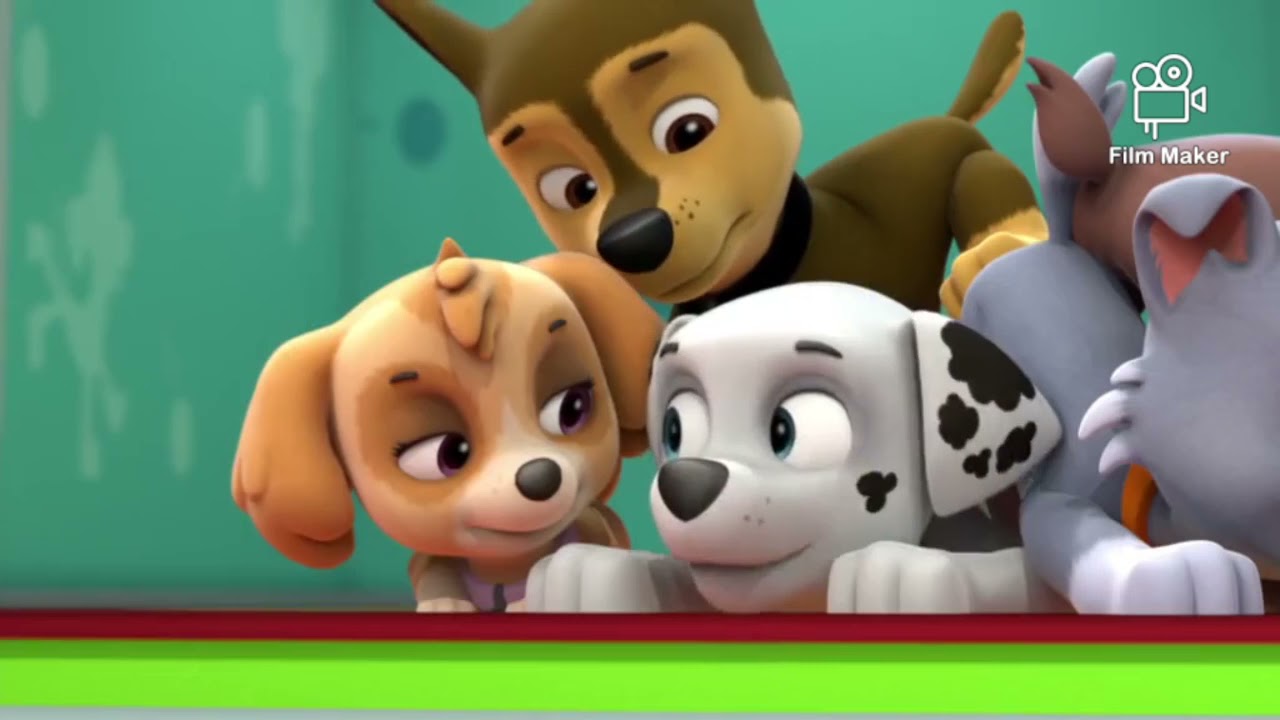 Paw Patrol Season 1 Episodes 15 Wipeouts - YouTube