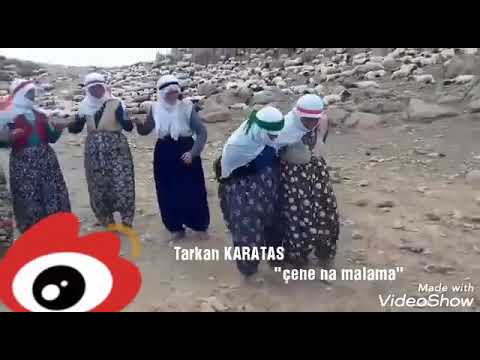 Tarkan karataş \