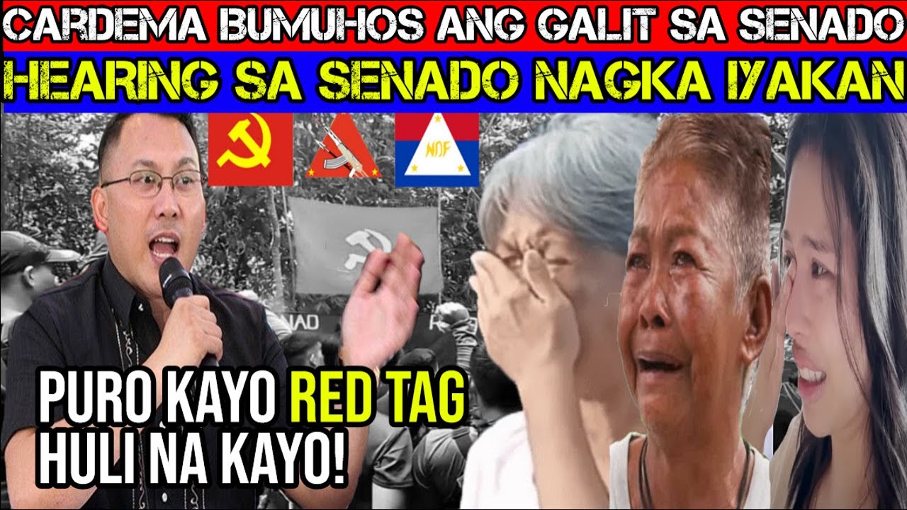 NYC CARDEMA ISA ISA BINIRA ANG NPA AT GALAWAN NITO / SENADO BUMAHA ANG ...
