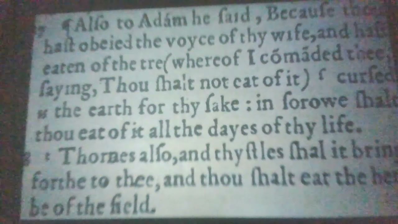 Genesis Chapter 3 Verse 17 18 YouTube Genesis Chapter 3 Verse 17 18 YouTube