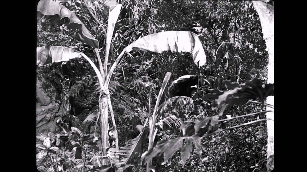 space beat AFX soundcloud user48736353001 aphex twin video assembled by ...