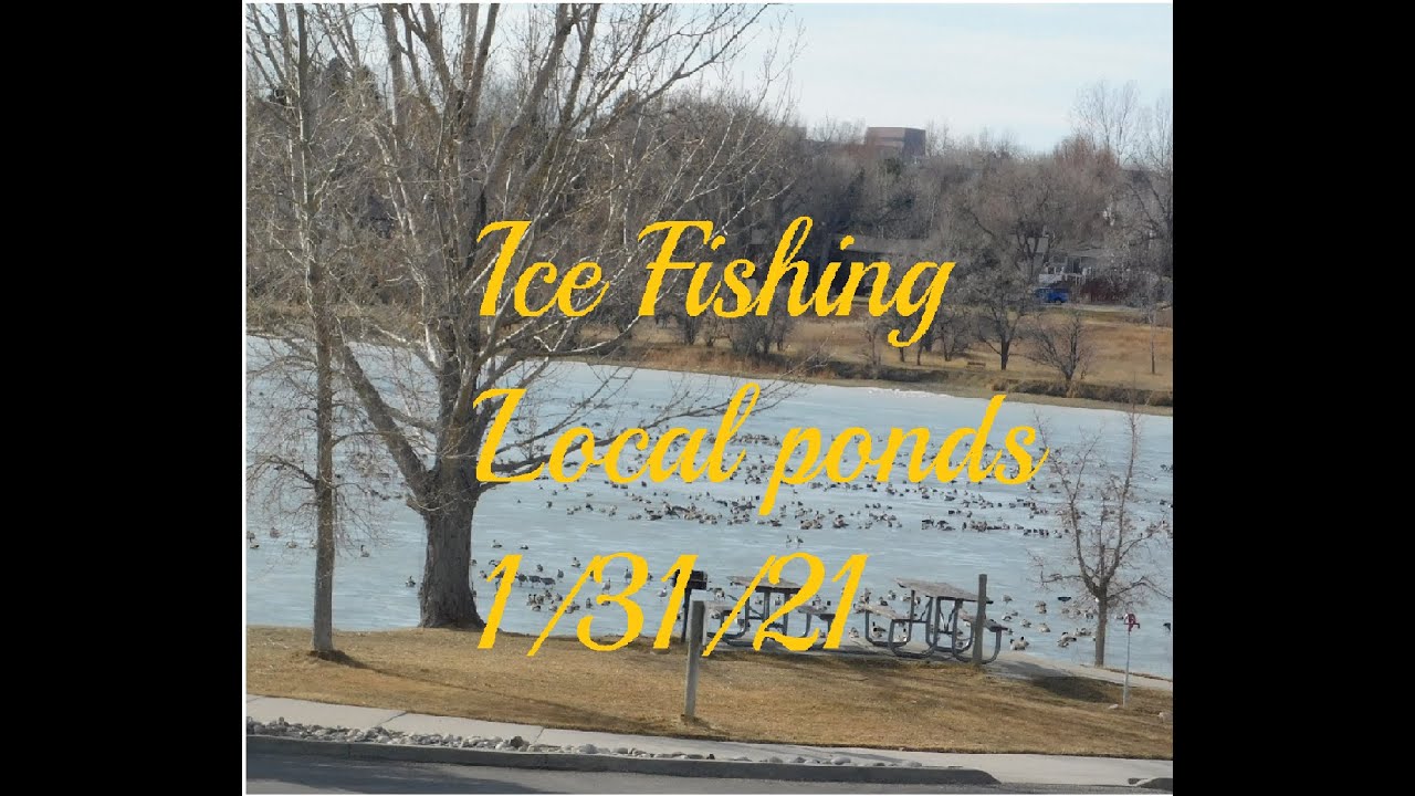 Ice Fishing Local Ponds 1/31/21 - YouTube