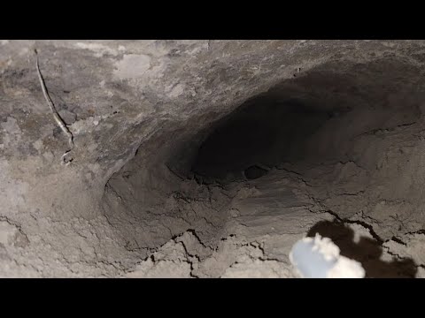 Journey Inside a Sulcata Tortoise Burrow! | Epic 15-Foot Underground ...