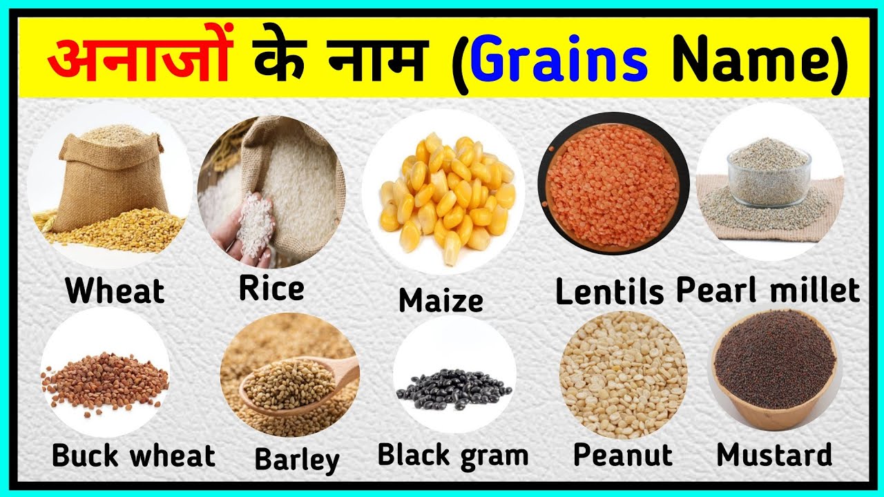 20 अनाजों के नाम | Grains name | Cereals name | Grains & Cereals name ...