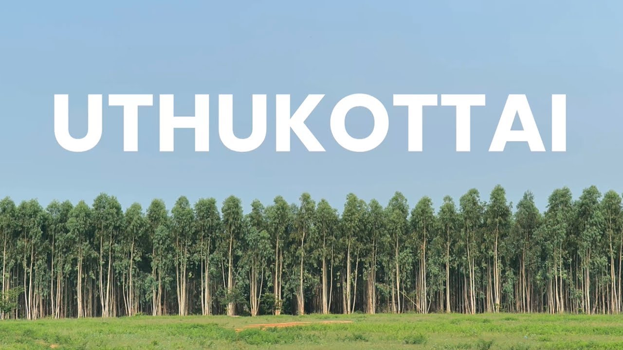 The Truth about Uthukottai | Alive Documentary - YouTube